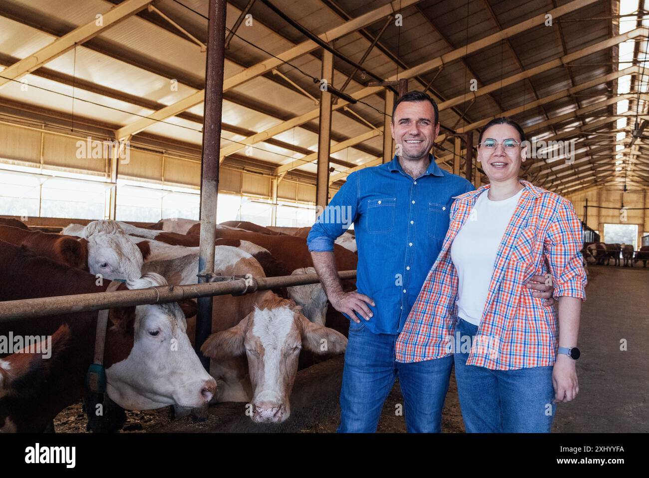 A young married couple of farmers in a cowshed. A smiling woman and a ...