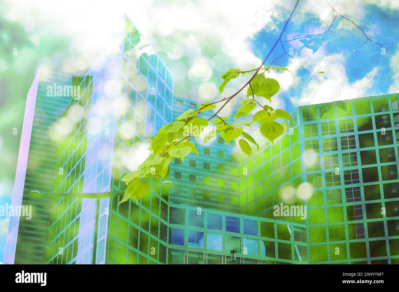 Environment. Modern building and tree branch with green leaves Stock ...