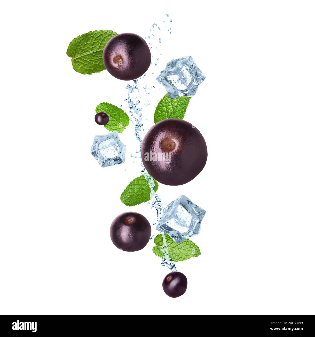 Acai berries, mint leaves, ice cubes and splash of water in air on ...