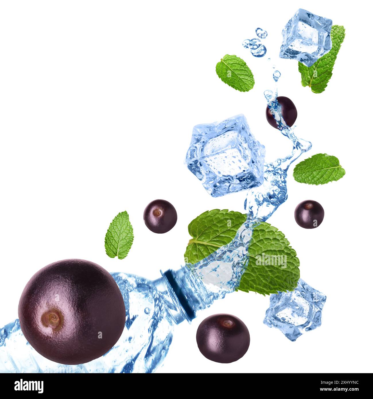 Acai berries, mint leaves, ice cubes and splash of water in air on ...