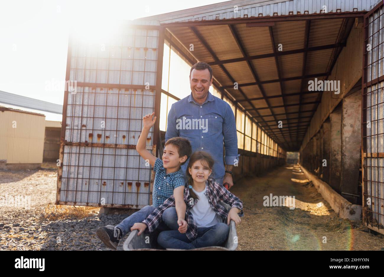 A laughing man drives his two children in a wheelbarrow in a barn. A ...