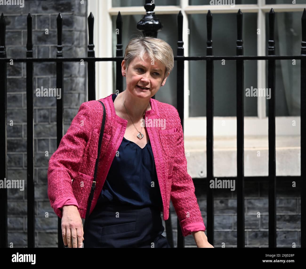 Downing Street, London, UK. 16th July, 2024. Government Ministers at ...