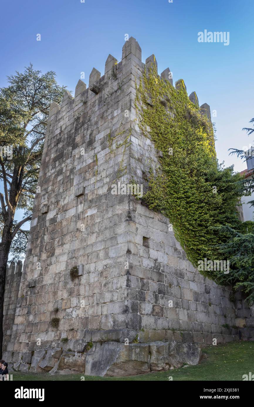 Fernandina wall hi-res stock photography and images - Alamy