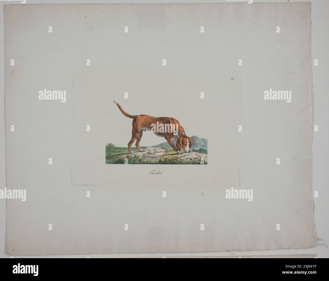 Human finder hi-res stock photography and images - Alamy