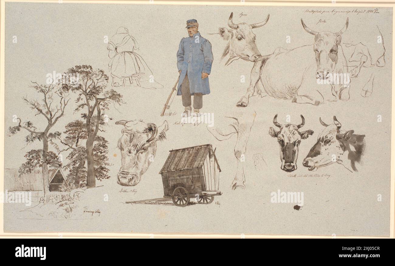 A drawing by Johan Thomas Lundbye depicting studies of cows at the ...