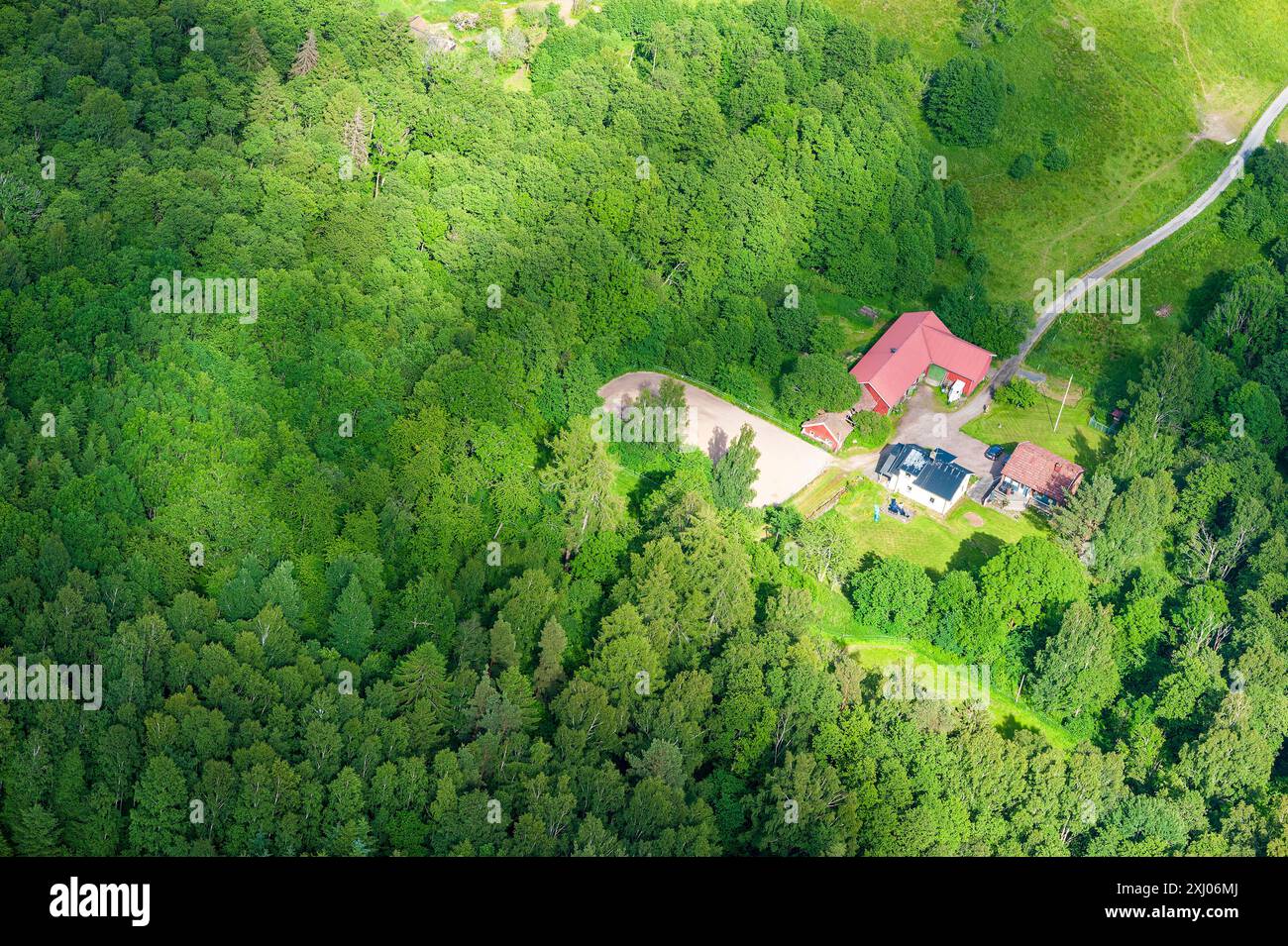 An aerial view of a house and outbuildings nestled within a lush green ...