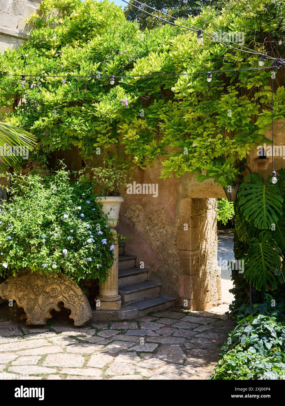 Charming Garden Courtyard with Stone Steps and Lush Greenery Stock ...