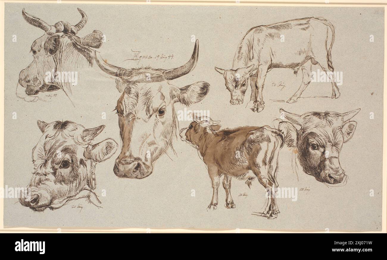 Drawing by Johan Thomas Lundbye depicting studies of cows, bull calves ...