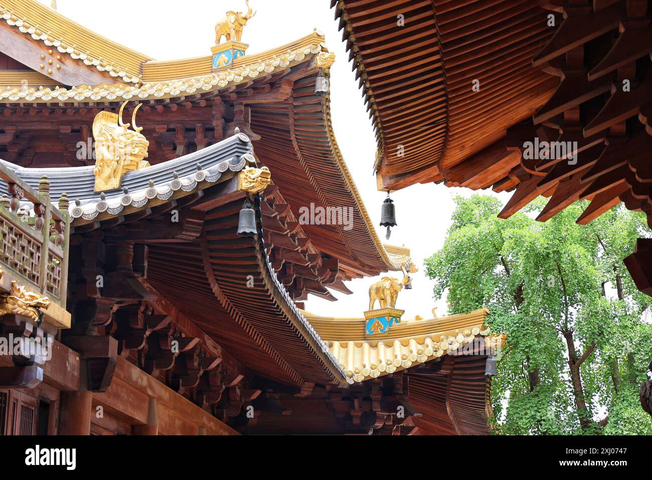 Buddhism temple, Ancient buildings, Wooden palace Stock Photo - Alamy
