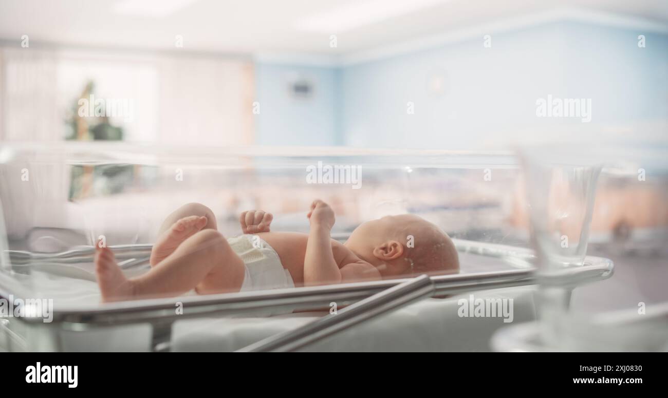 Portrait of a Young Newborn Baby Lying in a Bassinet in a Maternity ...
