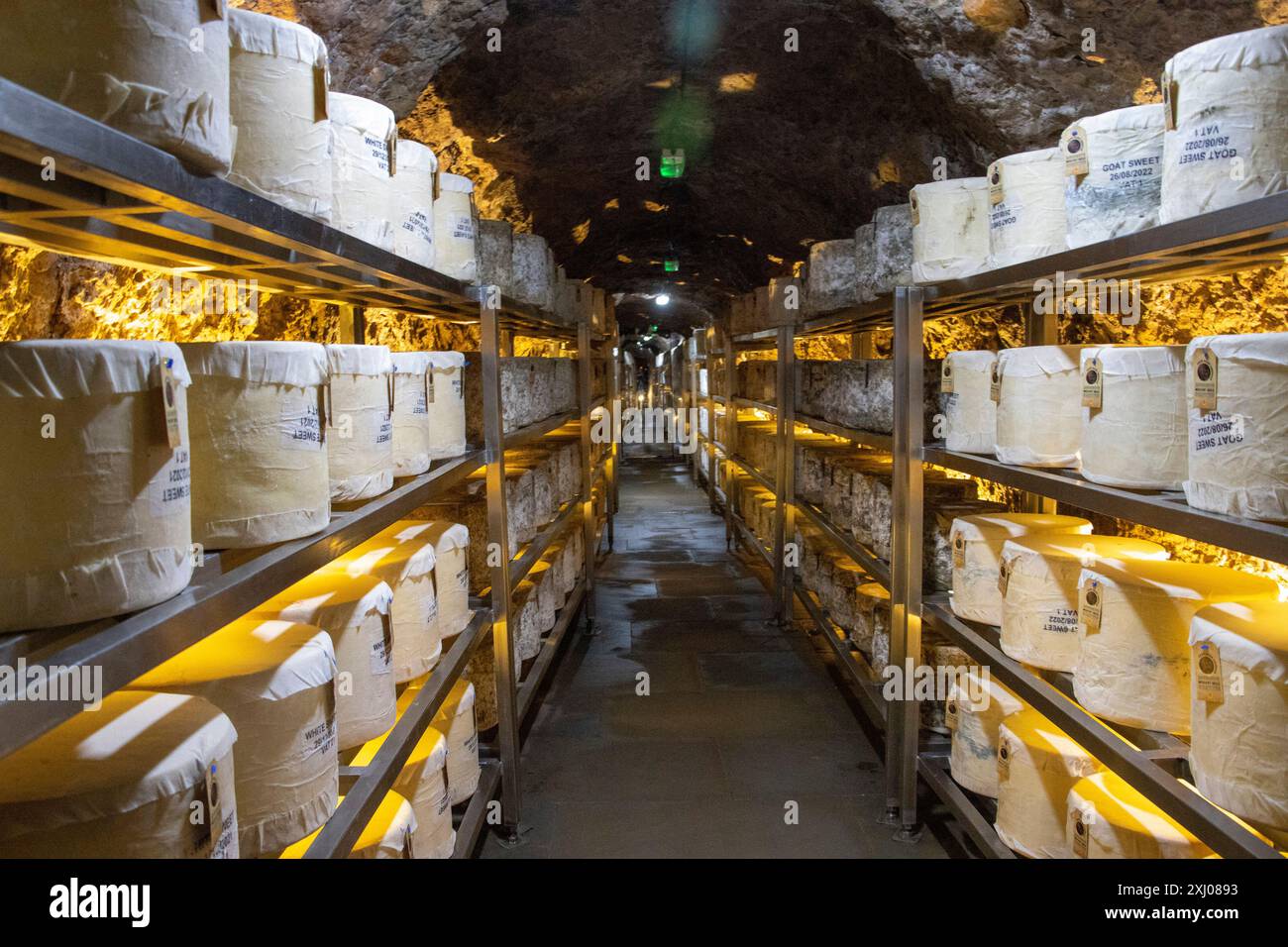 Cheddar cheeses in Cheddar caves, Cheddar, Sommerset,UK Stock Photo - Alamy