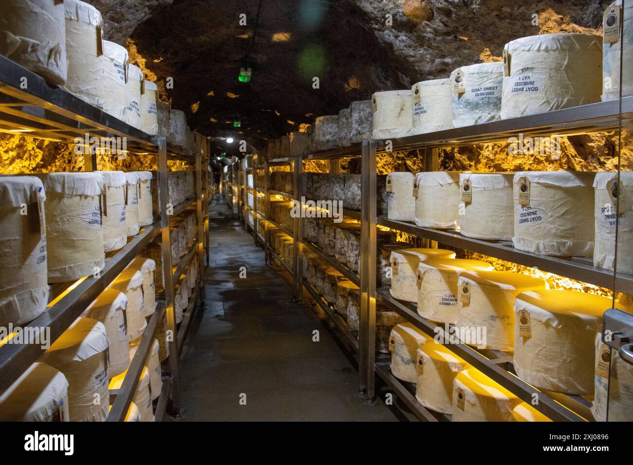 Cheddar cheeses in Cheddar caves, Cheddar, Sommerset,UK Stock Photo - Alamy