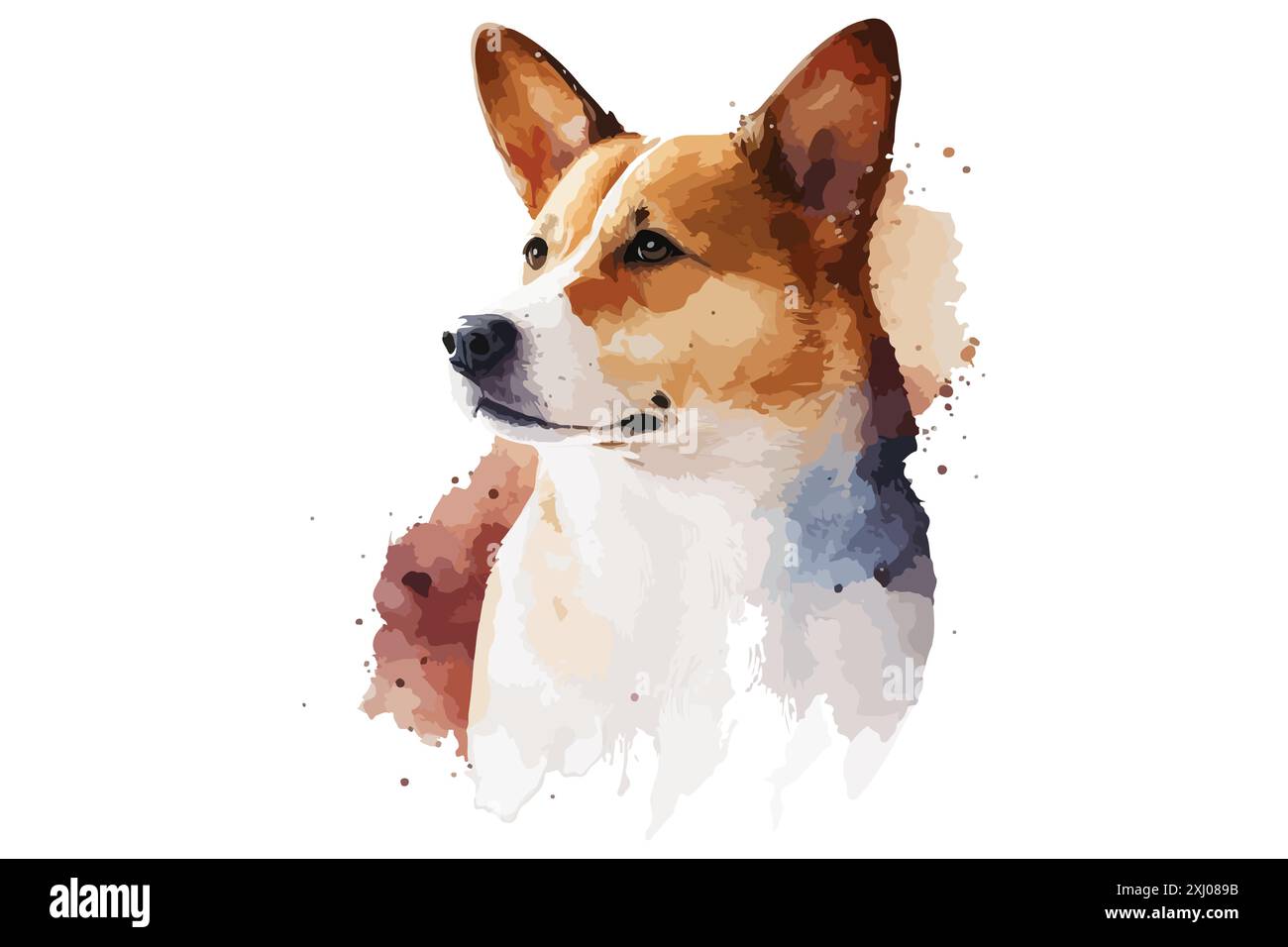 Dog Watercolor style vector illustration Stock Vector Image & Art - Alamy
