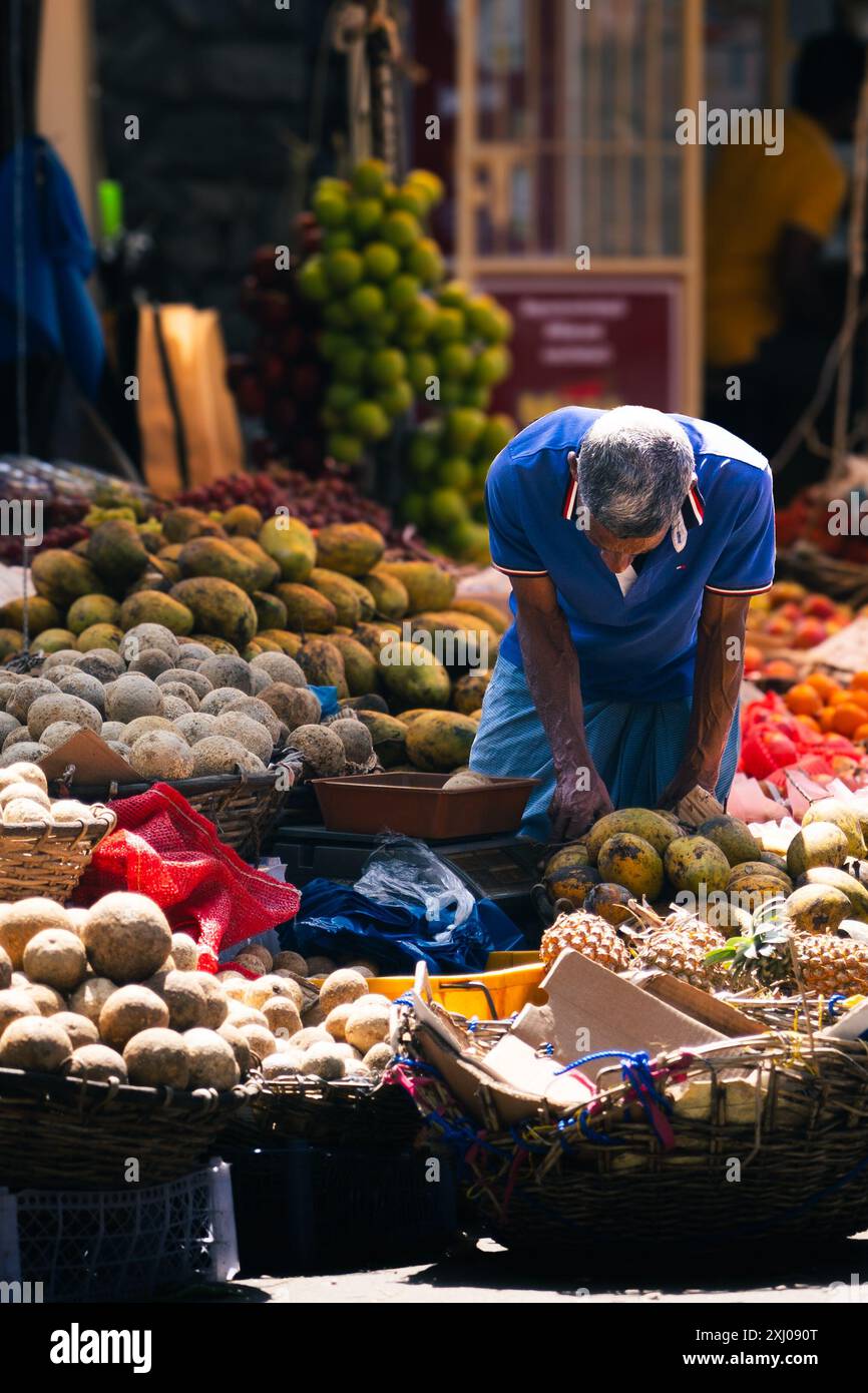 Merchant selling his vegetables and fruit at street market in Kandy ...