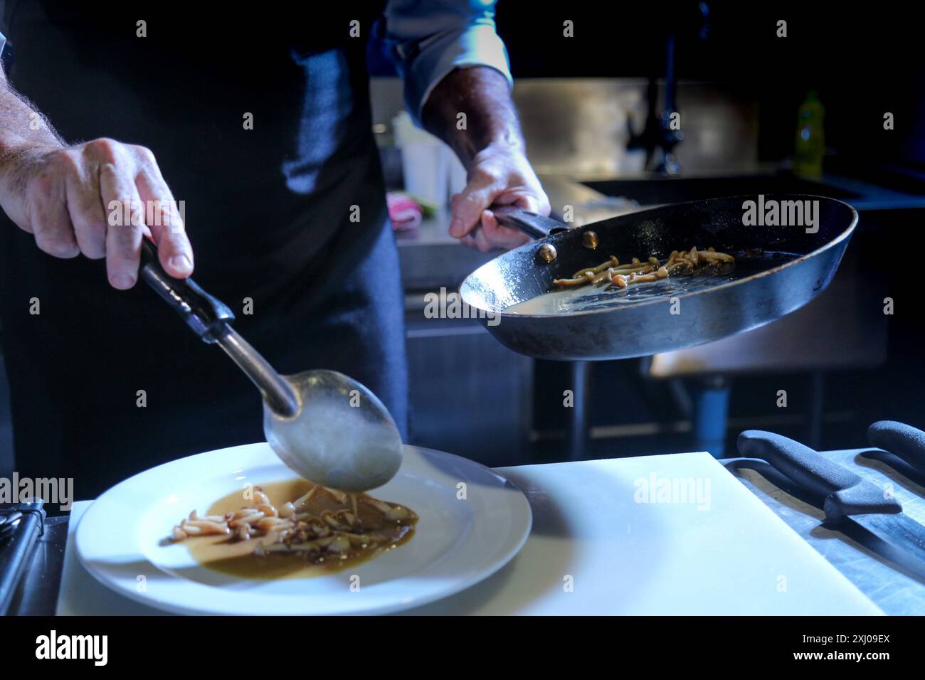 Gourmet restaurant michelin star preparation of delicious dishes for ...