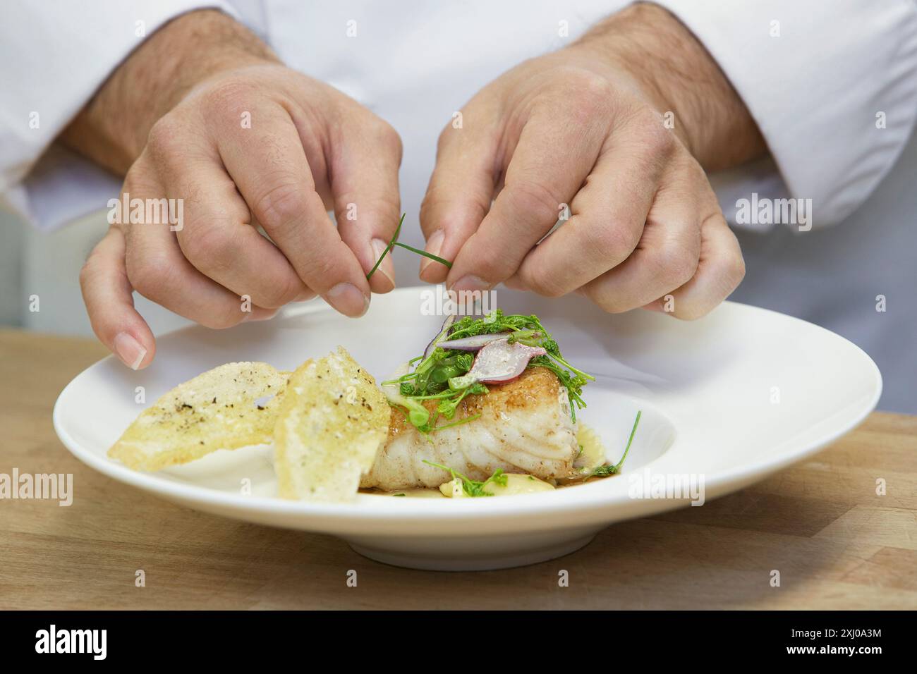 Gourmet restaurant michelin star preparation of delicious dishes for ...