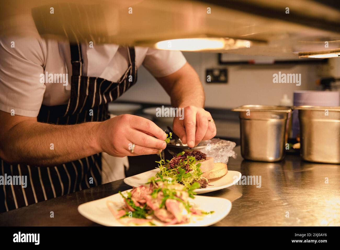 Gourmet restaurant michelin star preparation of delicious dishes for ...