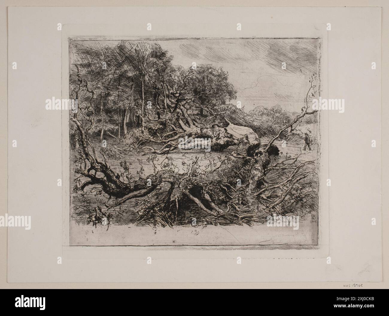Etching by Niels Skovgaard depicting Selskovegen, showing road, trees ...