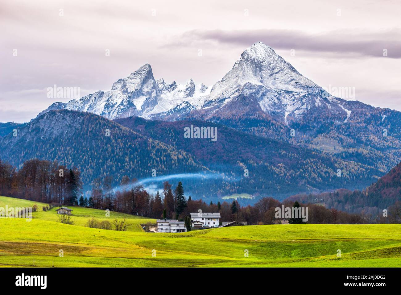 Green meadow and snow-capped Watzmann mountain on a background ...