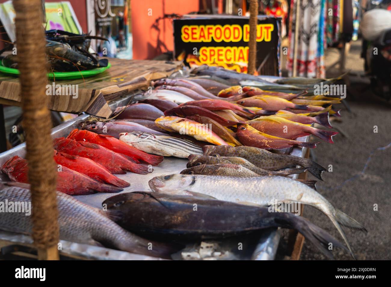 A seafood stall in Mirissa, Sri Lanka, displaying a variety of fresh ...