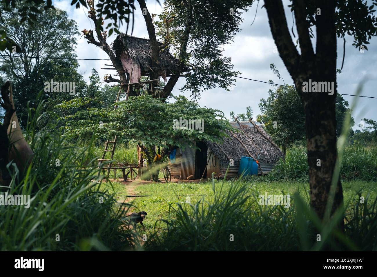 Old sri lanka house hi-res stock photography and images - Alamy