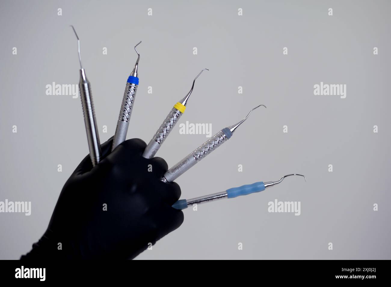 Model of dentures and dental instruments in hands of dentist. Dental ...