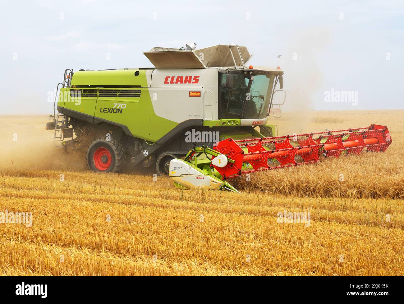 Uckermark GER, Deutschland, 20240715,Uckermark, Mähdrescher Lexion 770 ...