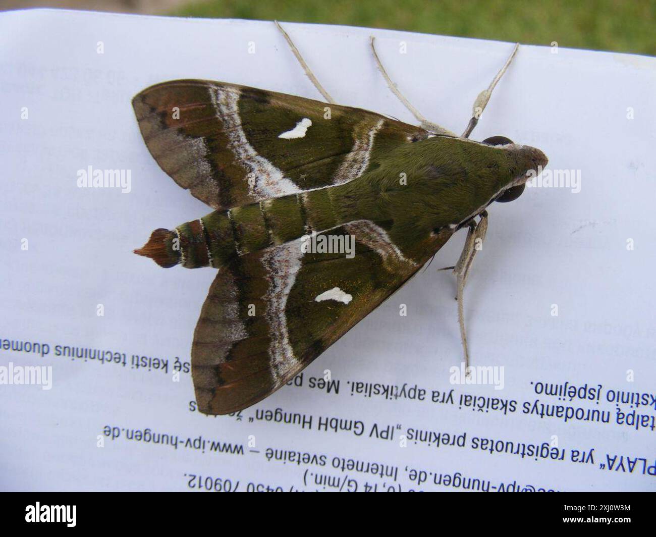 Silver marked hi-res stock photography and images - Alamy