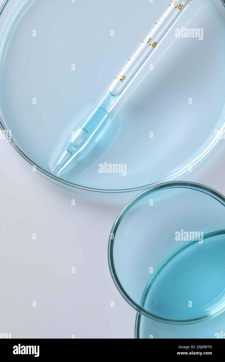 Measuring pipette and petri dishes on white table, flat lay Stock Photo ...