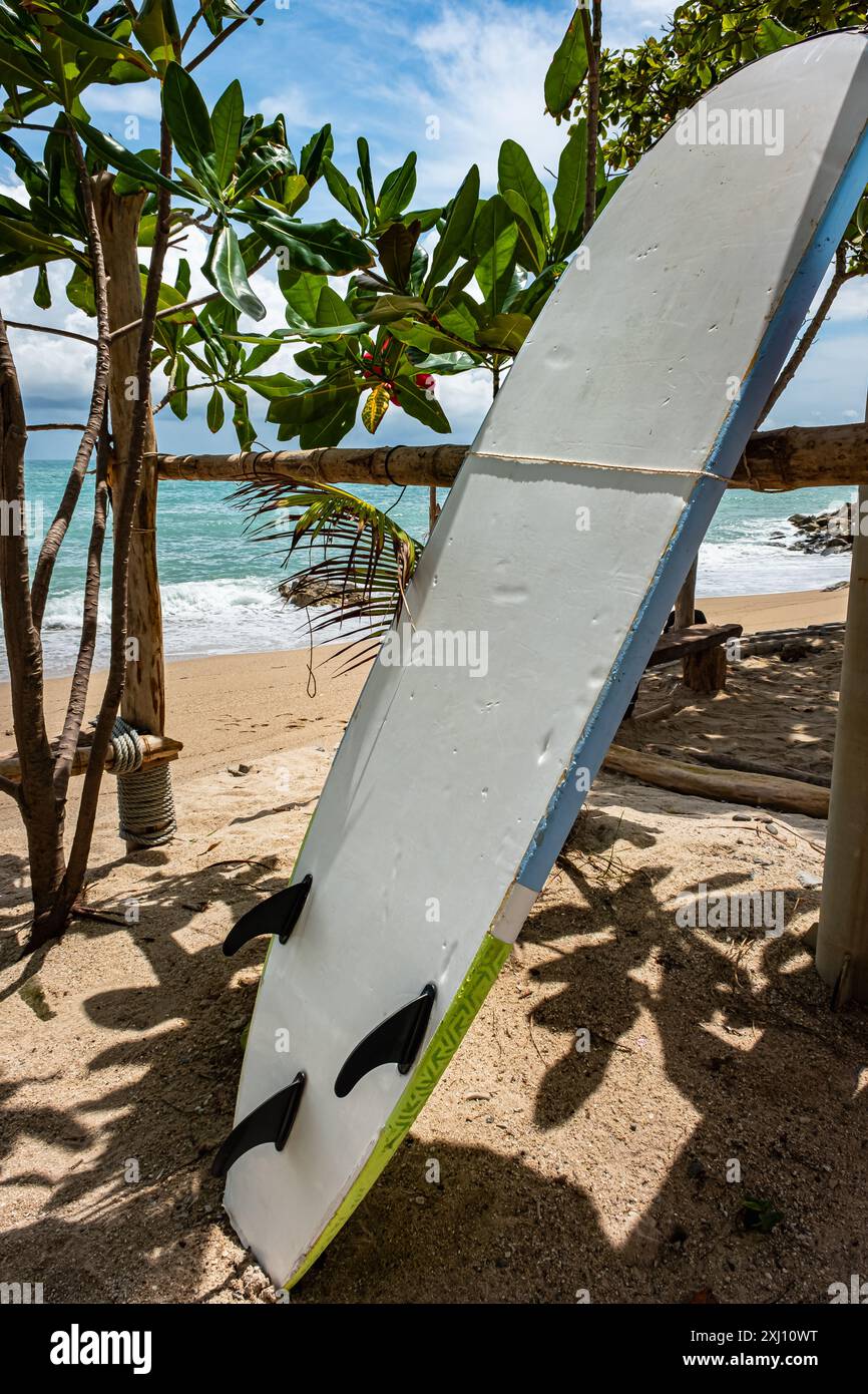 Surfboard and palm tree on beach with beach sign for surfing area ...