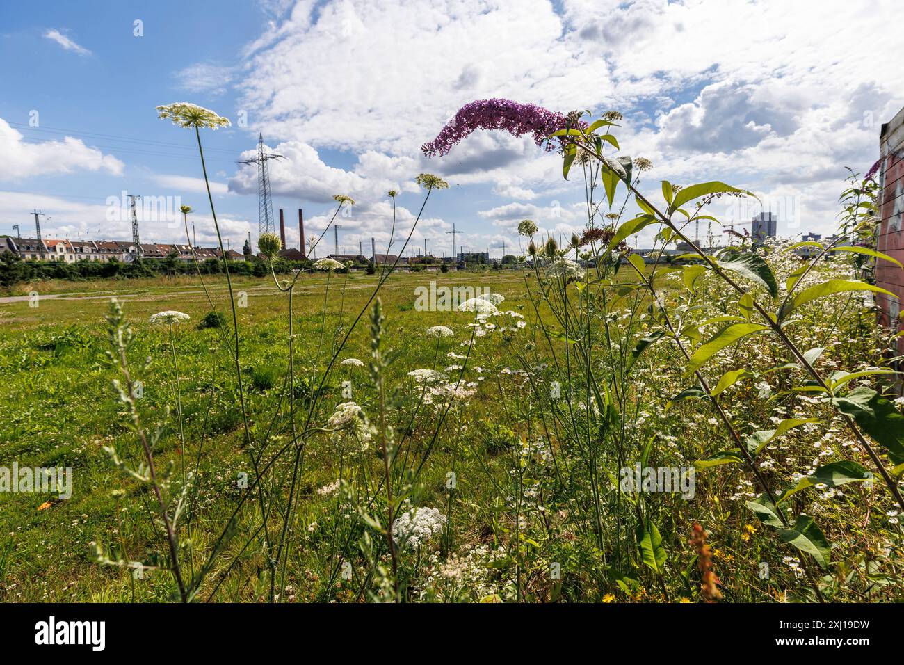 the Pionierpark in the Raderberg district of Cologne, Germany. The park ...