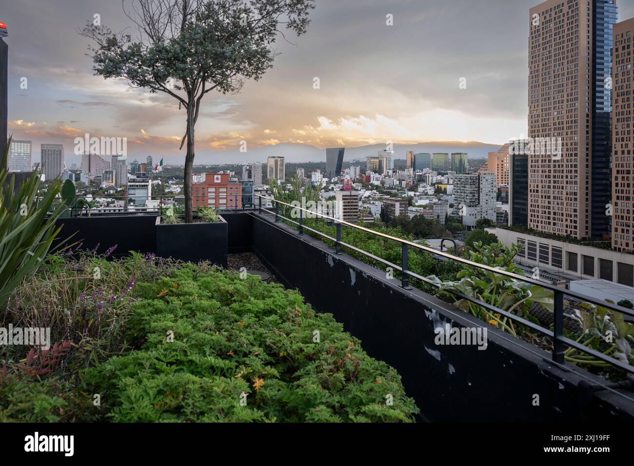Cityscape of Mexico City, Miguel Hidalgo, Mexico Stock Photo - Alamy