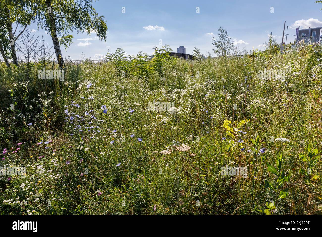 the Pionierpark in the Raderberg district of Cologne, Germany. The park ...