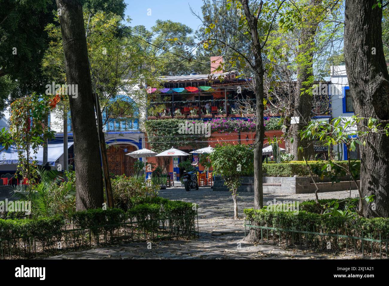 Tree lined outdoor dining area in a courtyard in Coyoacan that was the ...