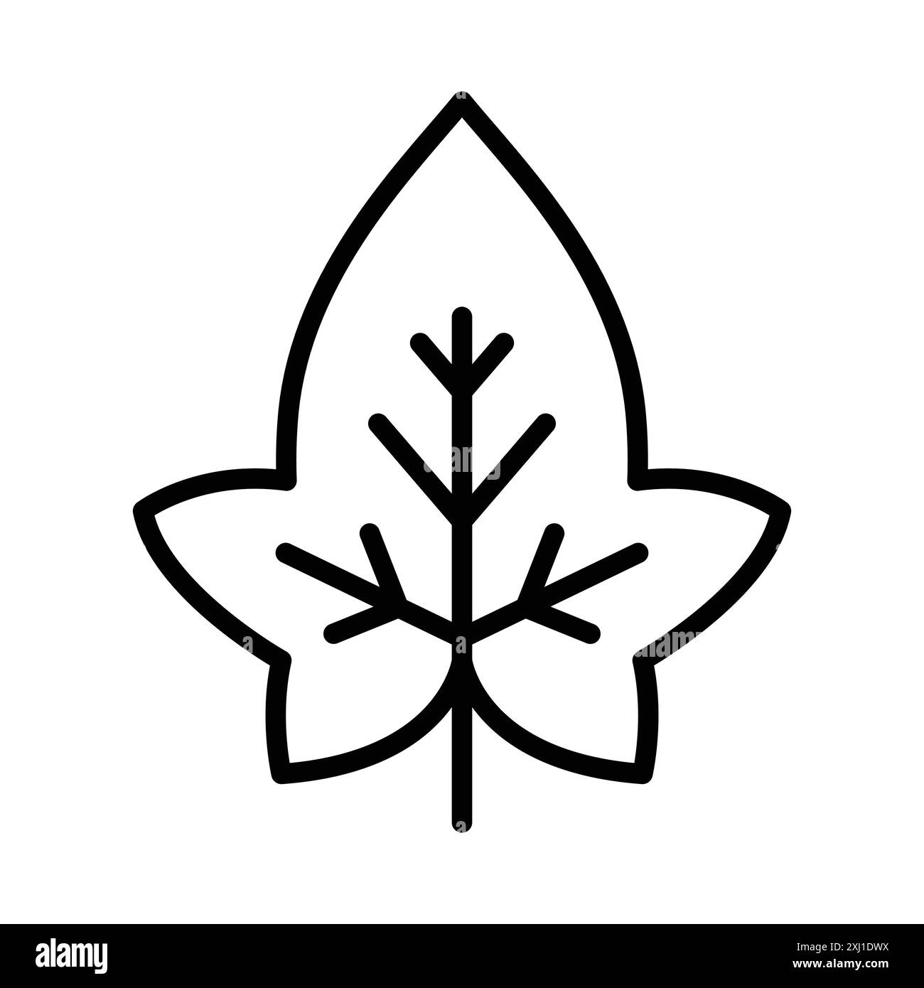English ivy icon linear logo mark set collection in black and white for ...