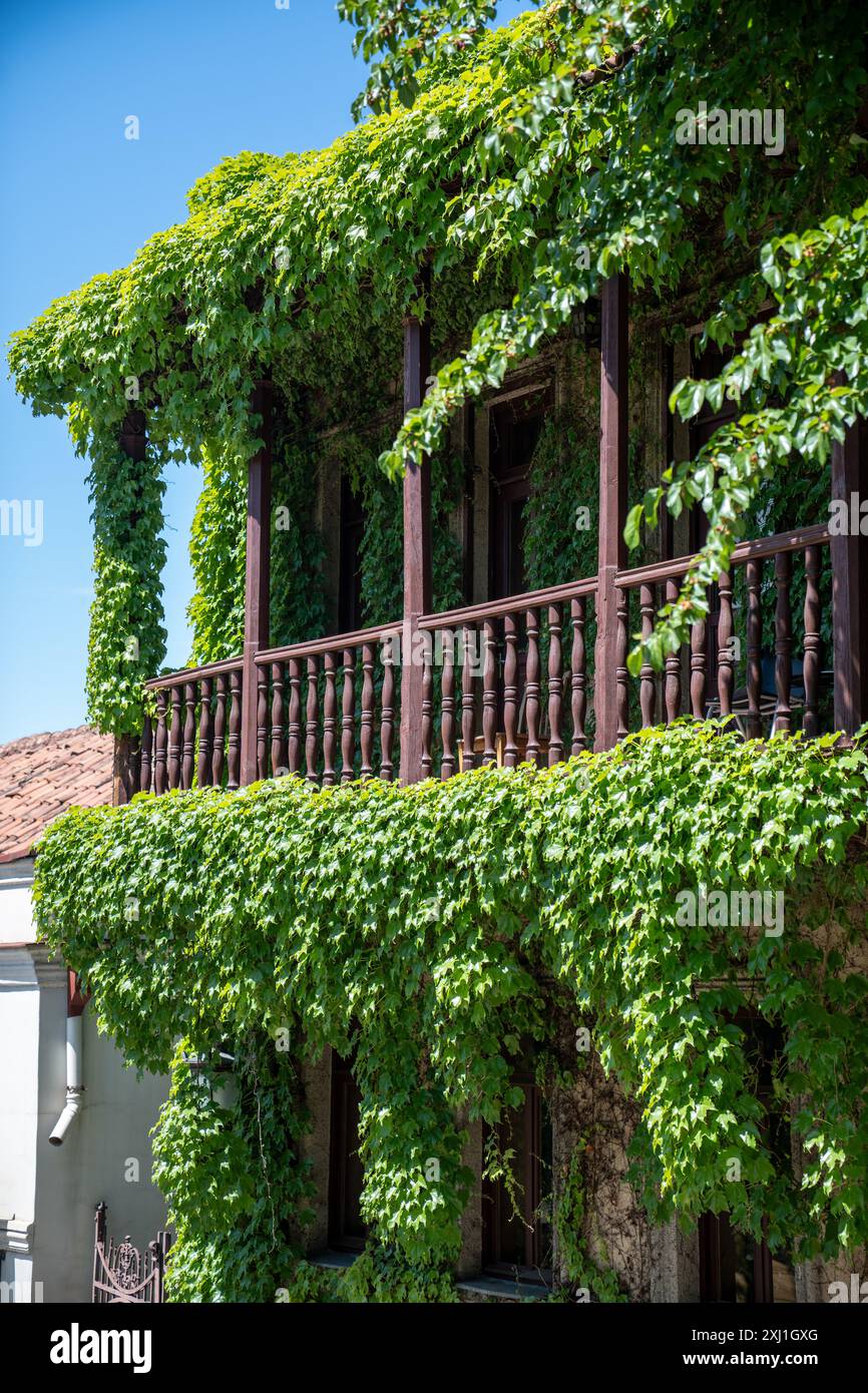 Eco flora estate hi-res stock photography and images - Alamy