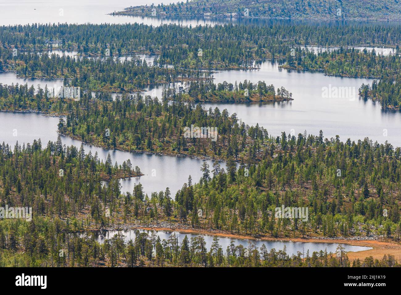 An aerial photograph showcasing the winding waterways and forested ...