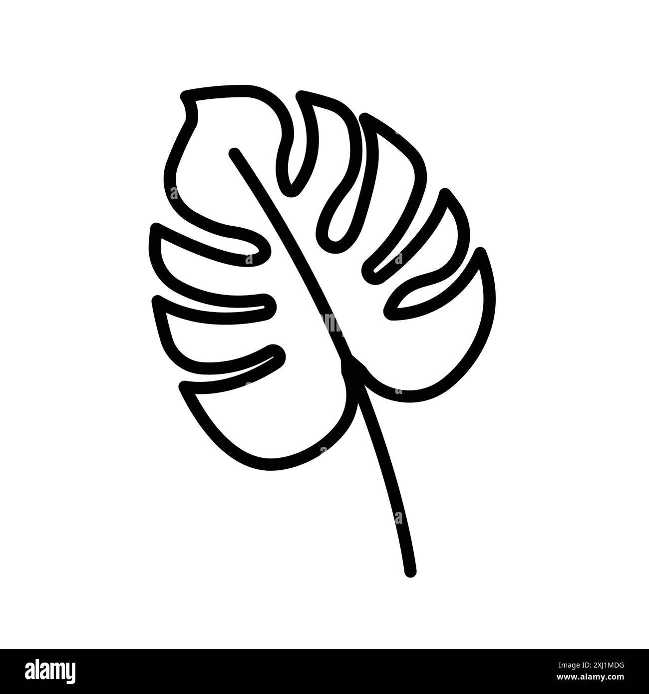 Monstera leaves icon web Stock Vector Images - Alamy