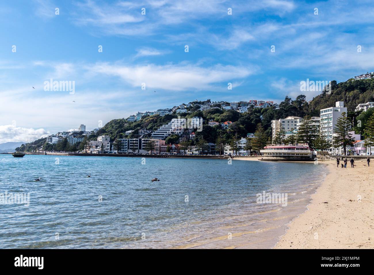 Wellington skyline waterfront new zealand hi-res stock photography and ...