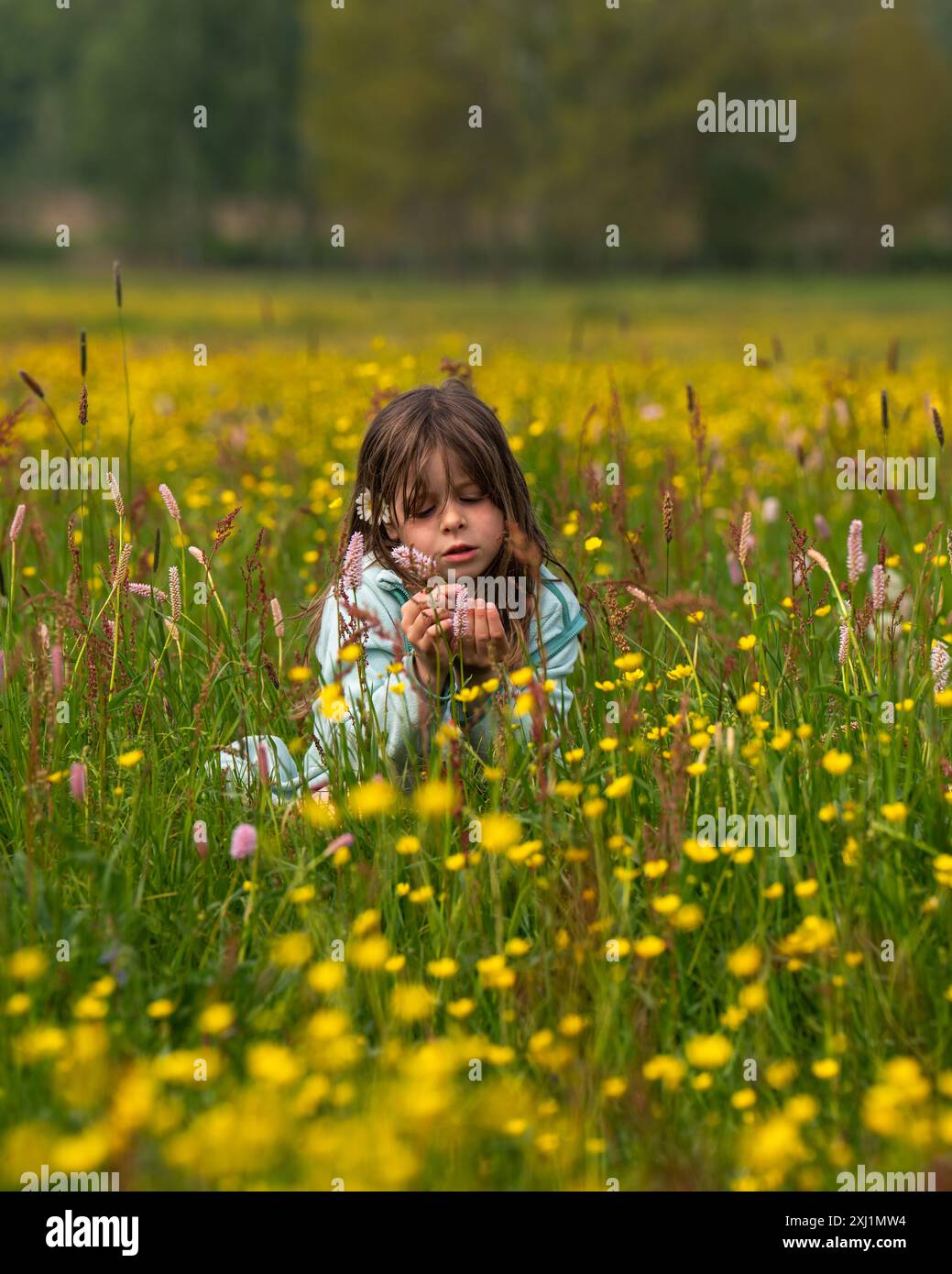 Joyful little girl having fun in the field. Hiding, crouched in a ...