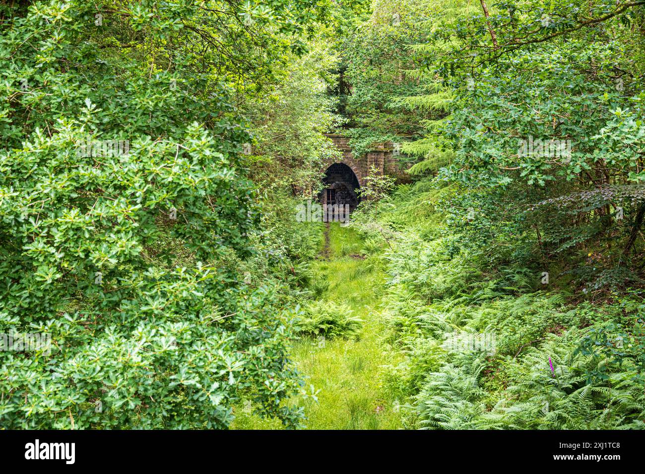 The blocked up entrance to the 775 ft long Mierystock Tunnel (opened in ...