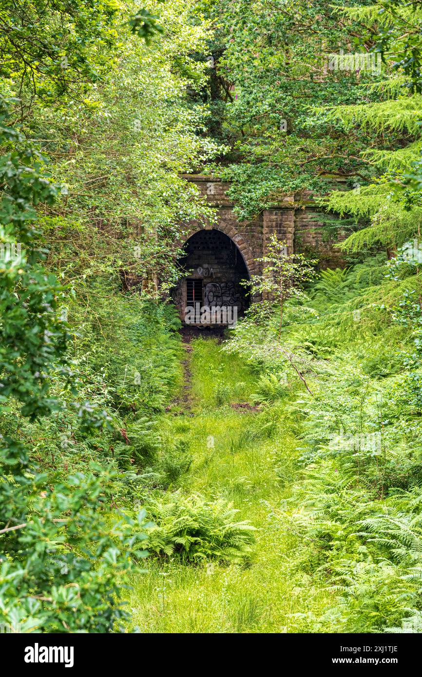 The blocked up entrance to the 775 ft long Mierystock Tunnel (opened in ...