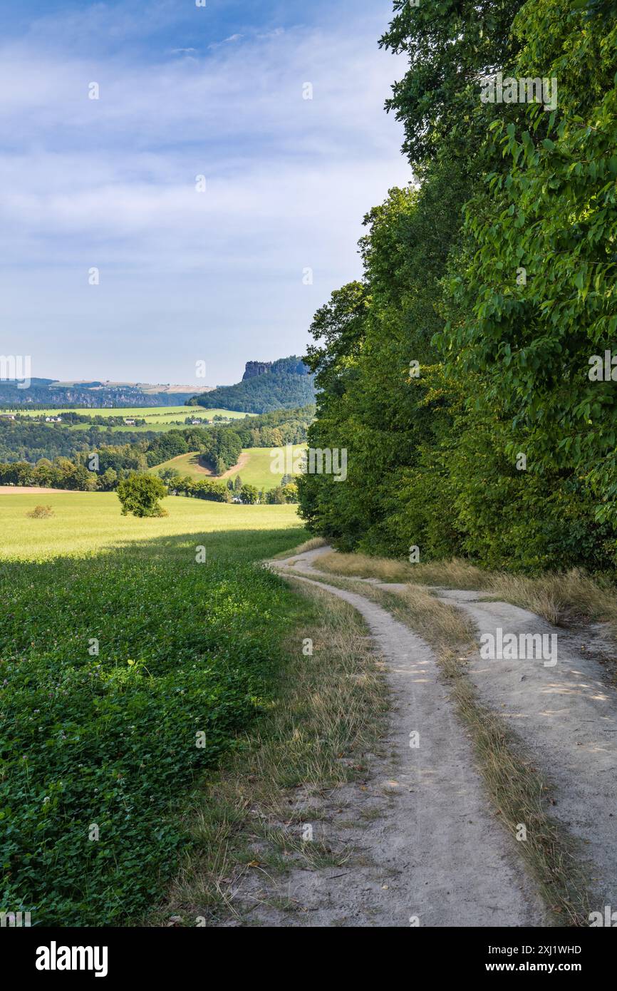 Amazing landscape of green fields, trees. A path leading into the ...