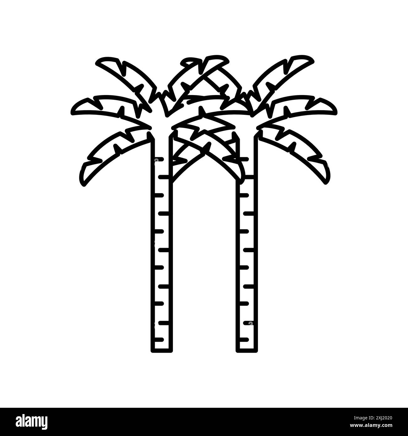 Palm tree icon linear logo mark set collection in black and white for ...