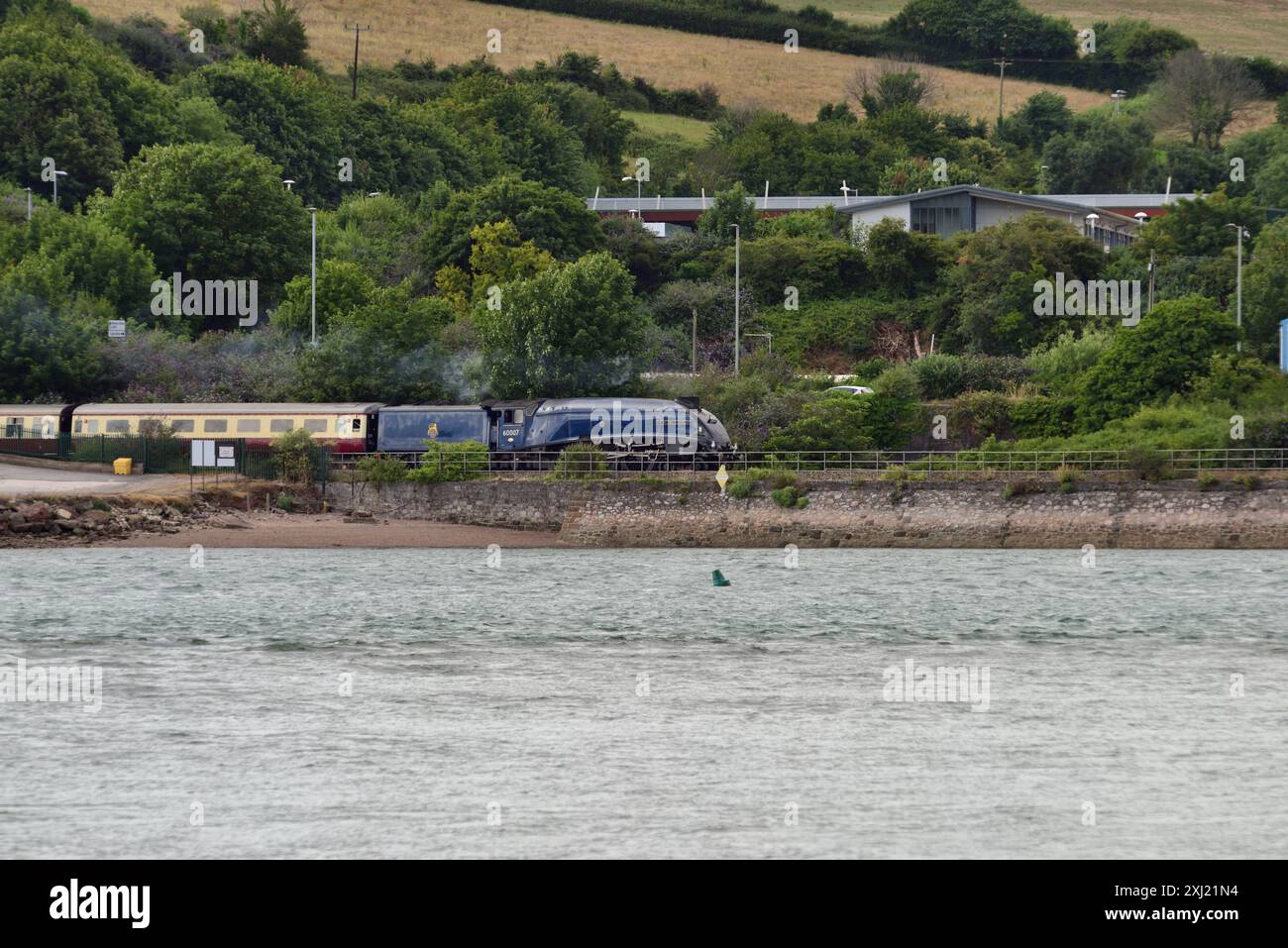 LNER Class A4 Pacific No 60007 Sir Nigel Gresley alongside the Teign ...