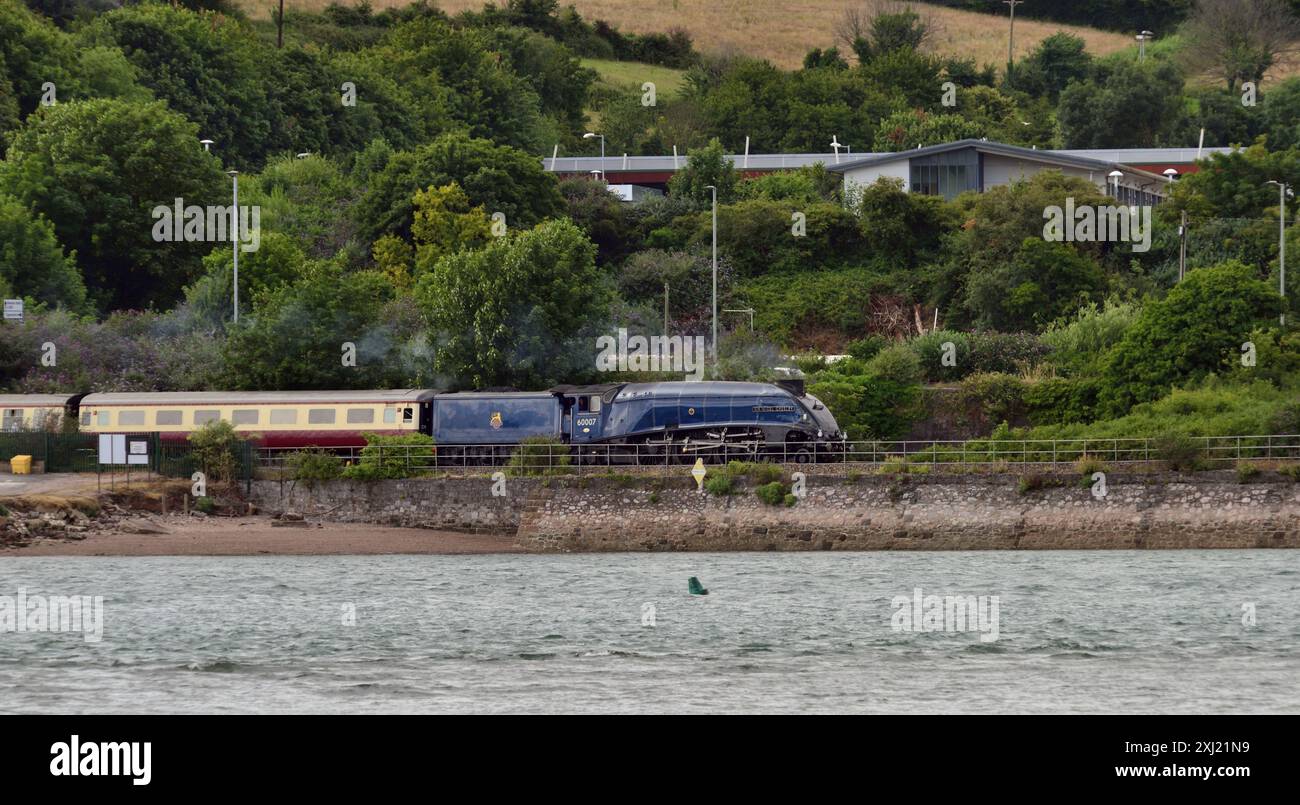 LNER Class A4 Pacific No 60007 Sir Nigel Gresley alongside the Teign ...