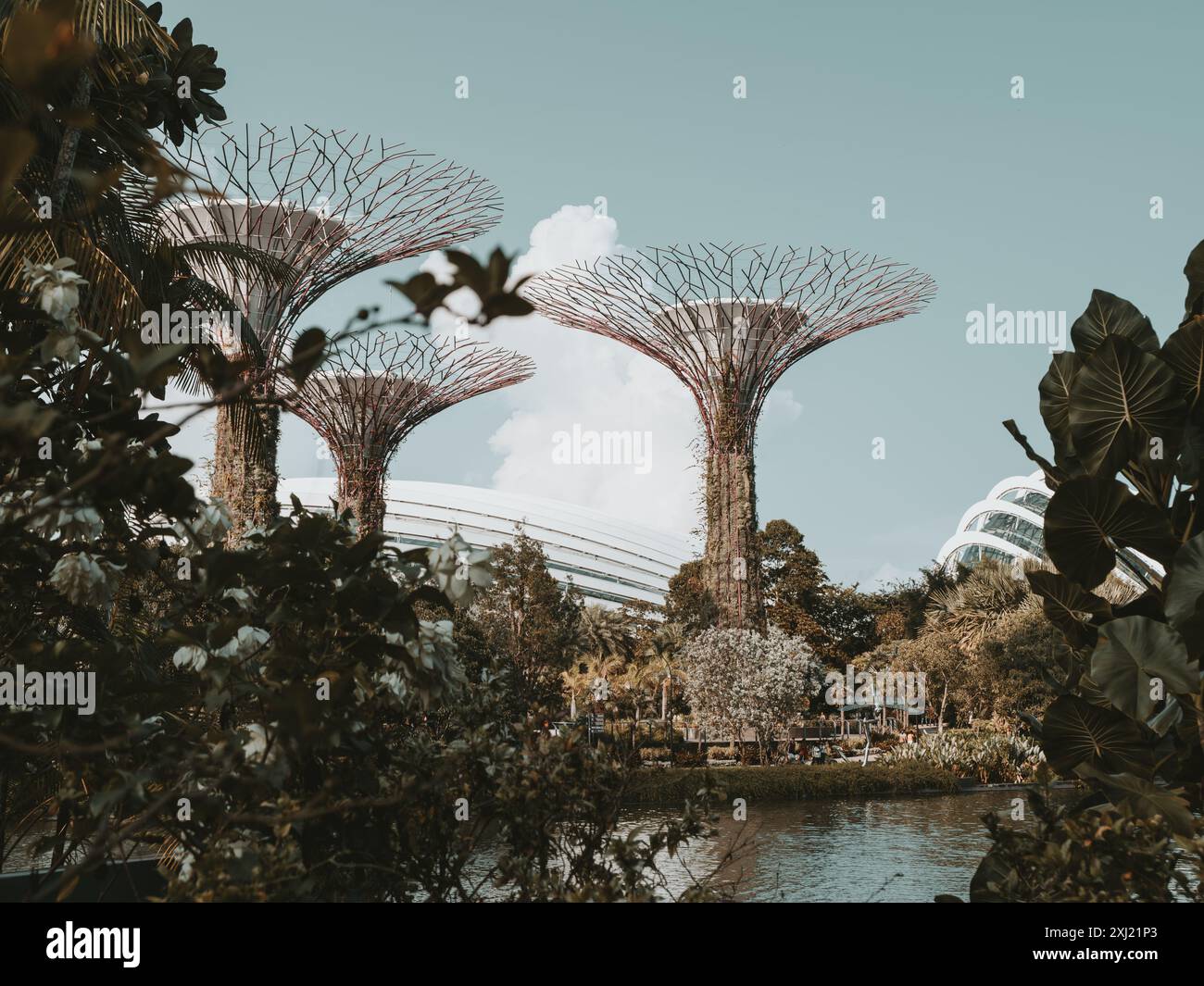 Ethereal Enclave Super Tree Marina Bay - Marina Bay Singapore Stock Photo - Alamy