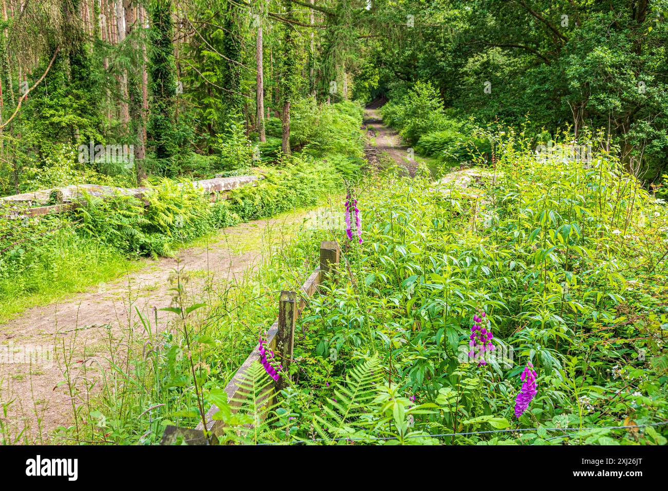 A footpath over Mireystock Bridge (opened in 1874) on a mineral railway ...