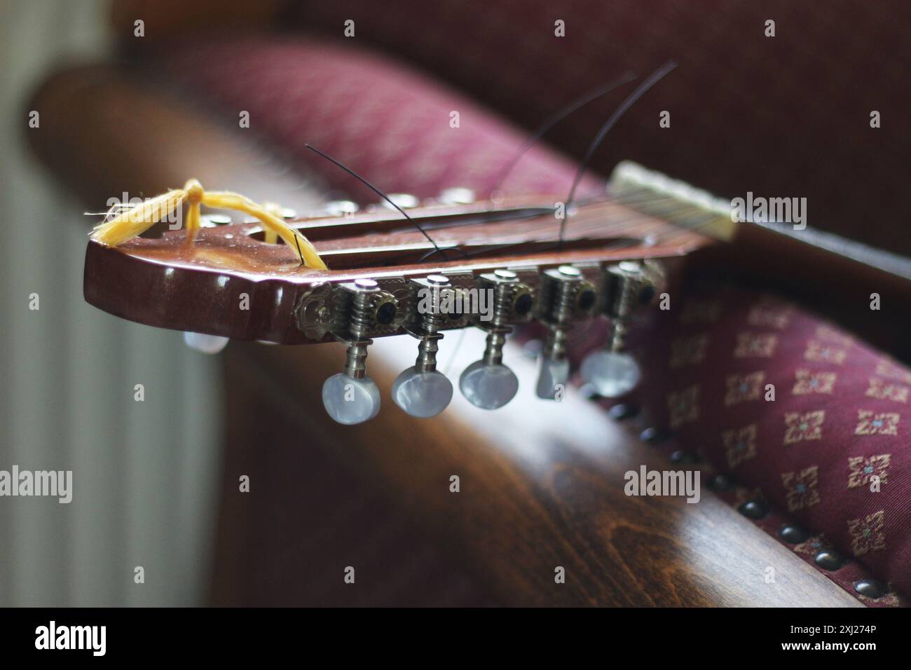 A beautifully detailed image of the head part and tuning pegs of a ...