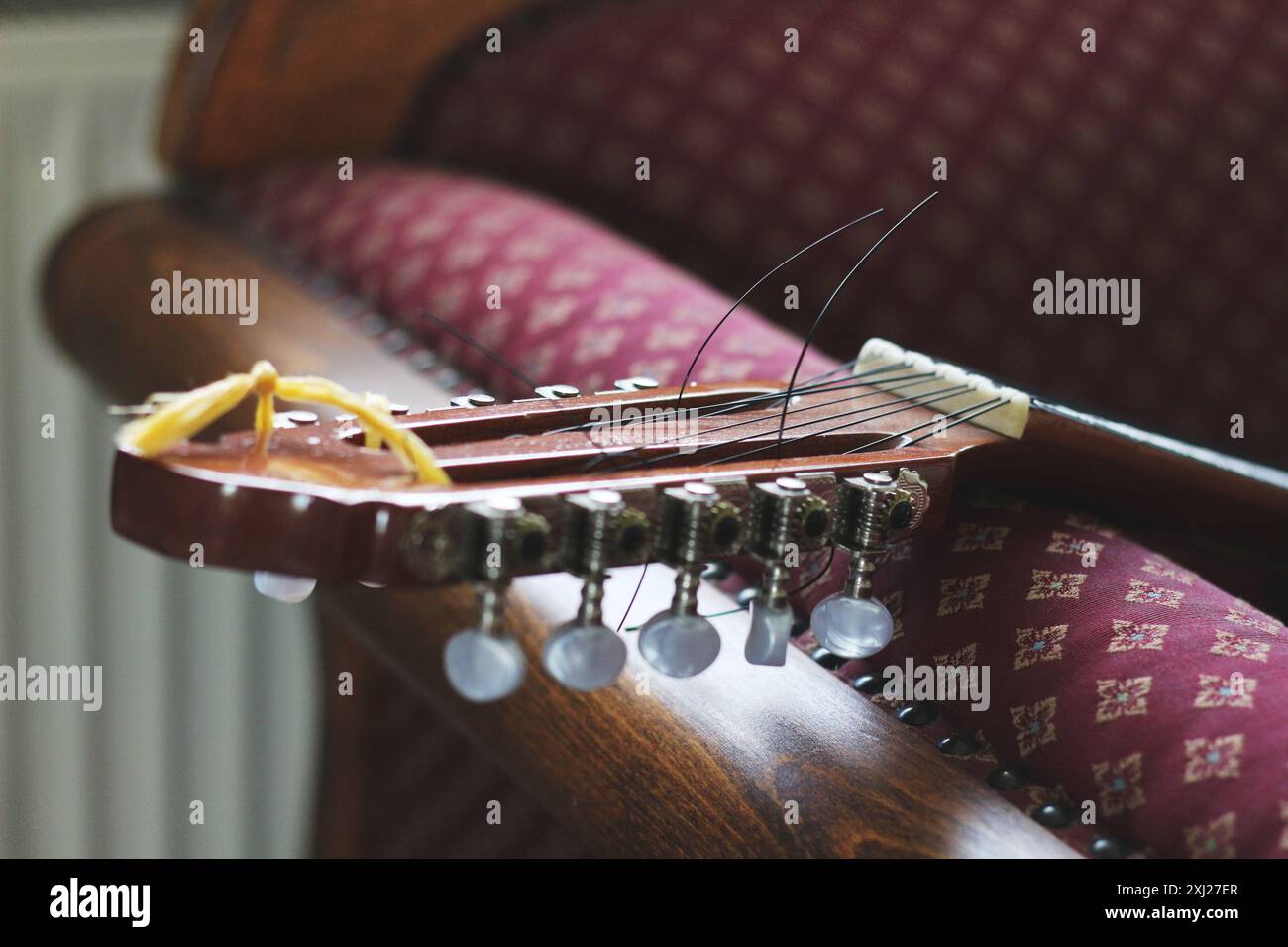 A beautifully detailed image of the head part and tuning pegs of a ...